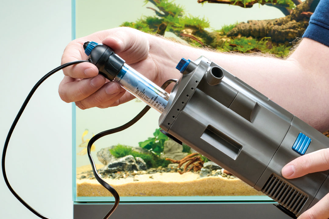 Aquarium Heaters – OASE Living Water