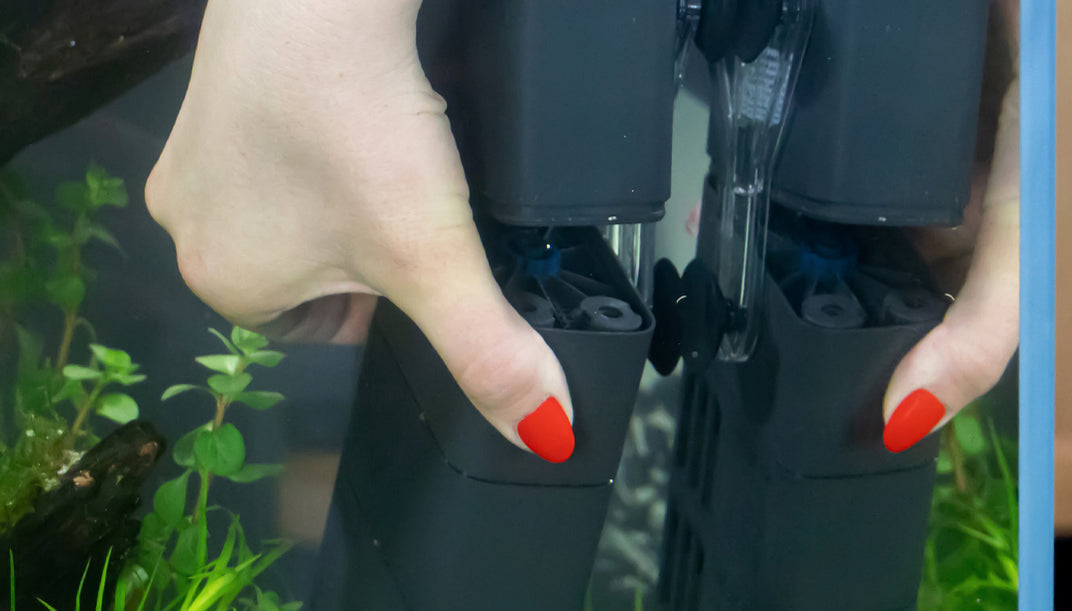 OASE EcoFlow Internal Aquarium Filters | Sleek, Efficient Filtration ...