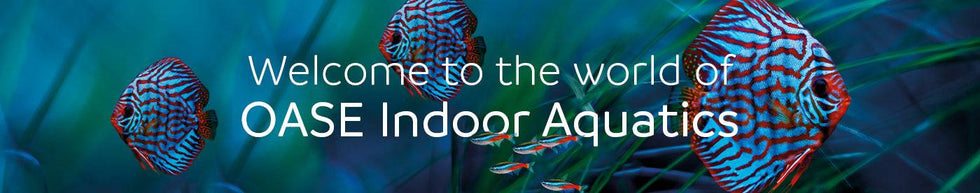 OASE North America | Aquariums & Indoor Aquatic Products
