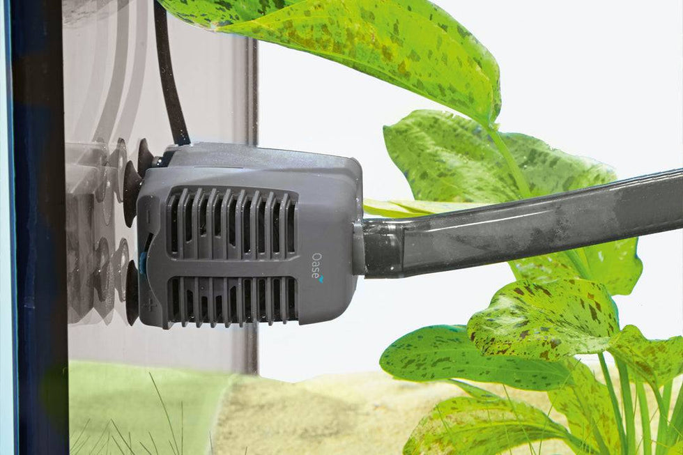 OASE North America | Aquariums & Indoor Aquatic Products