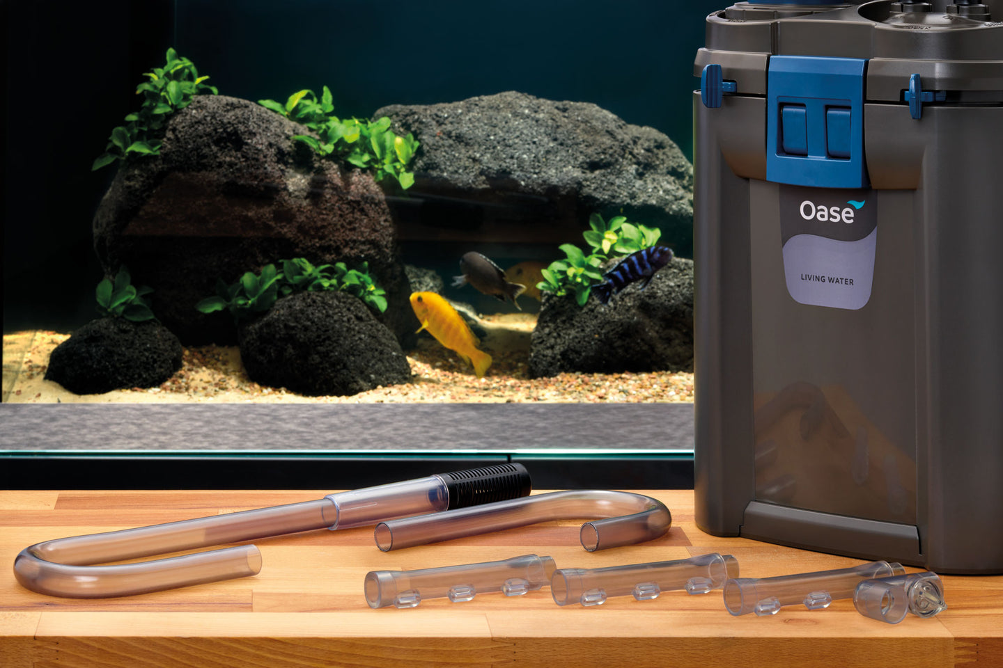 OASE North America | Aquariums & Indoor Aquatic Products