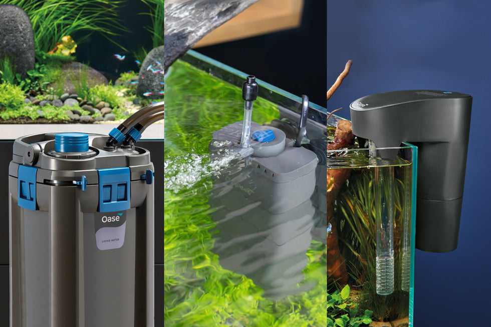Oase North America | Aquarium Products
