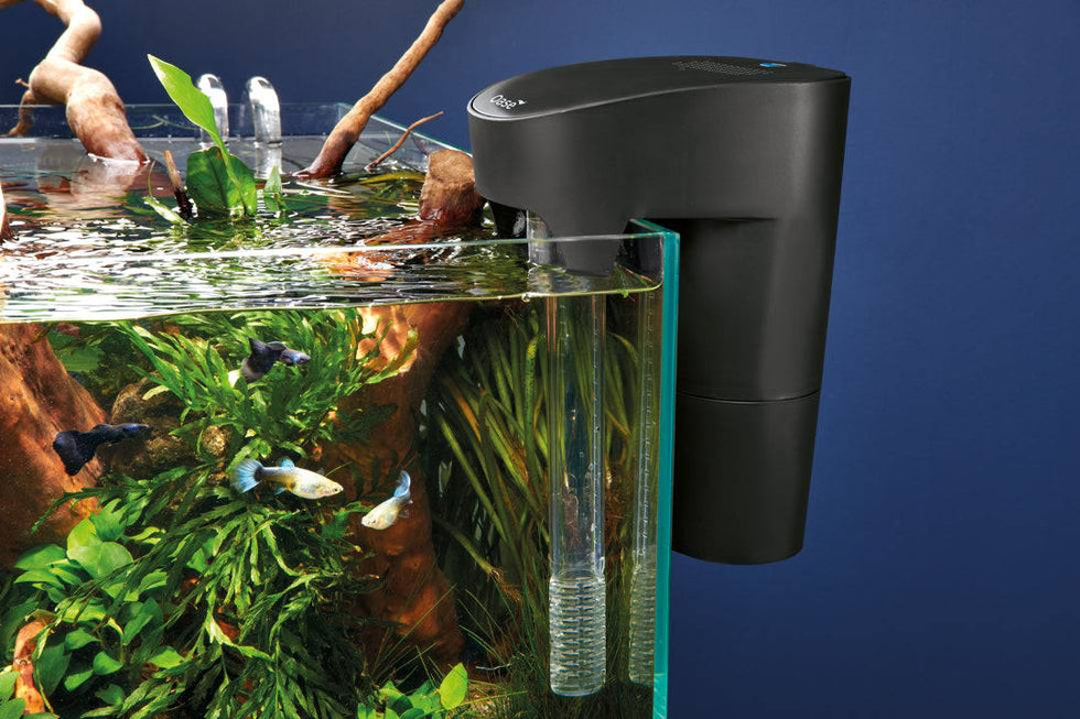 OASE Living Water | Aquariums & Indoor Aquatic Products – OASE North ...
