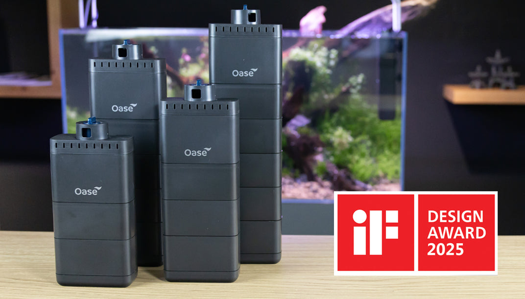 OASE EcoFlow Internal Aquarium Filters | Sleek, Efficient Filtration ...