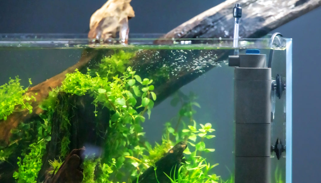 OASE EcoFlow Internal Aquarium Filters | Sleek, Efficient Filtration ...