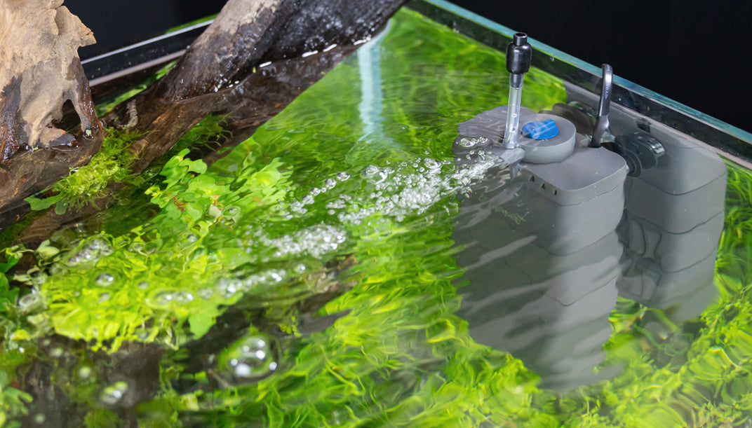 OASE EcoFlow Internal Aquarium Filters | Sleek, Efficient Filtration ...