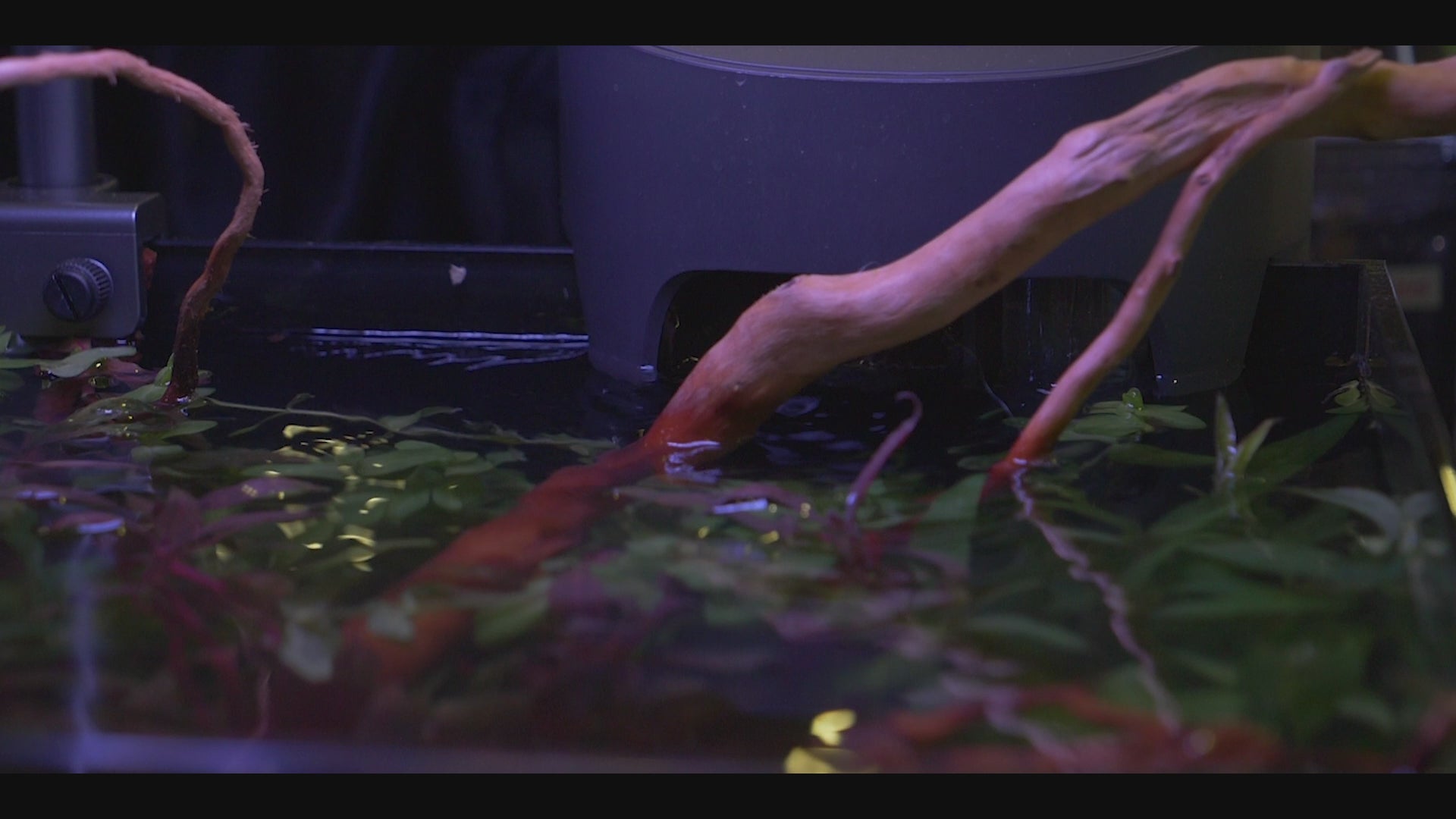 Oase North America | Aquarium Products