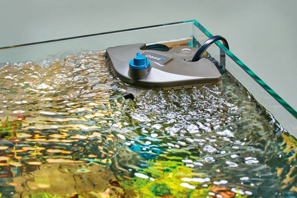 Support – OASE North America